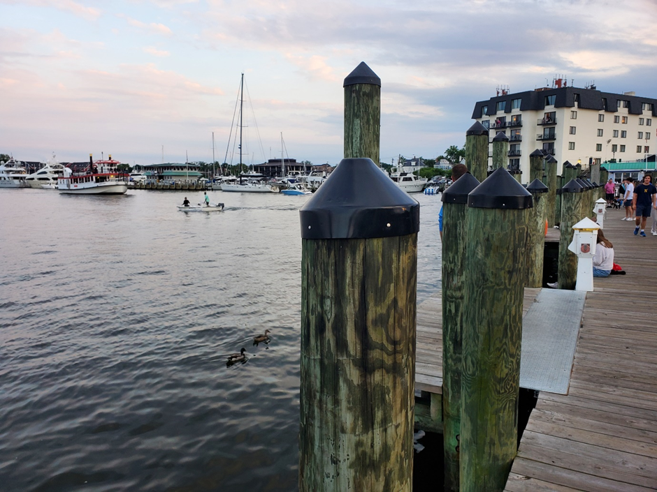 Magnet fishing Annapolis City Dock – Reason and Nature